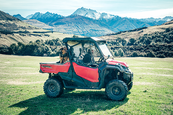 50 Years of Honda in NZ | Honda Motorcycles NZ